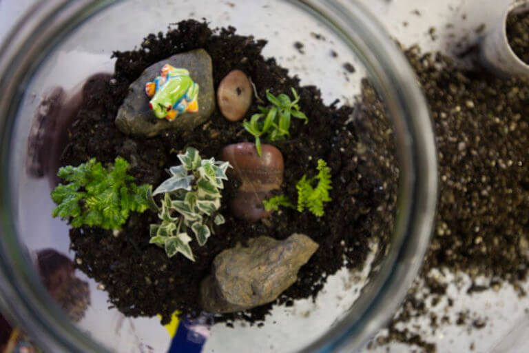 Family Art Project: Tiny Terrariums | To Do NYC