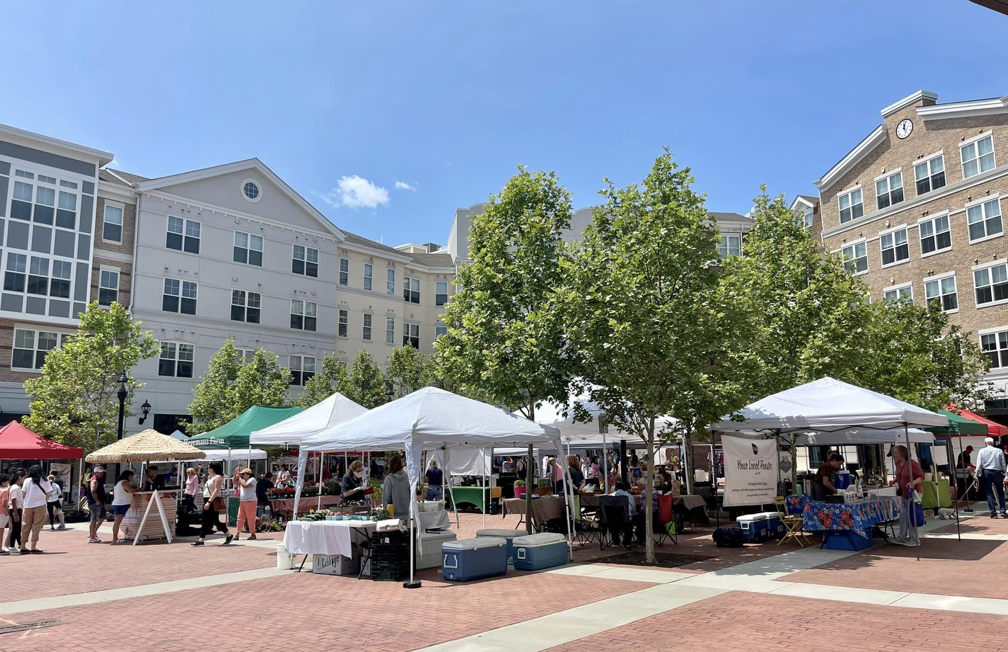 Deep Roots Farmers Market Pop Up at Village Square | To Do Long Island