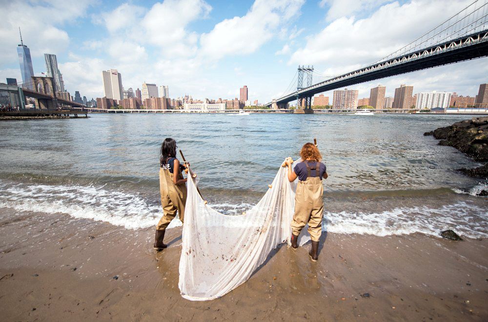 The Best FREE Things to Do in Brooklyn