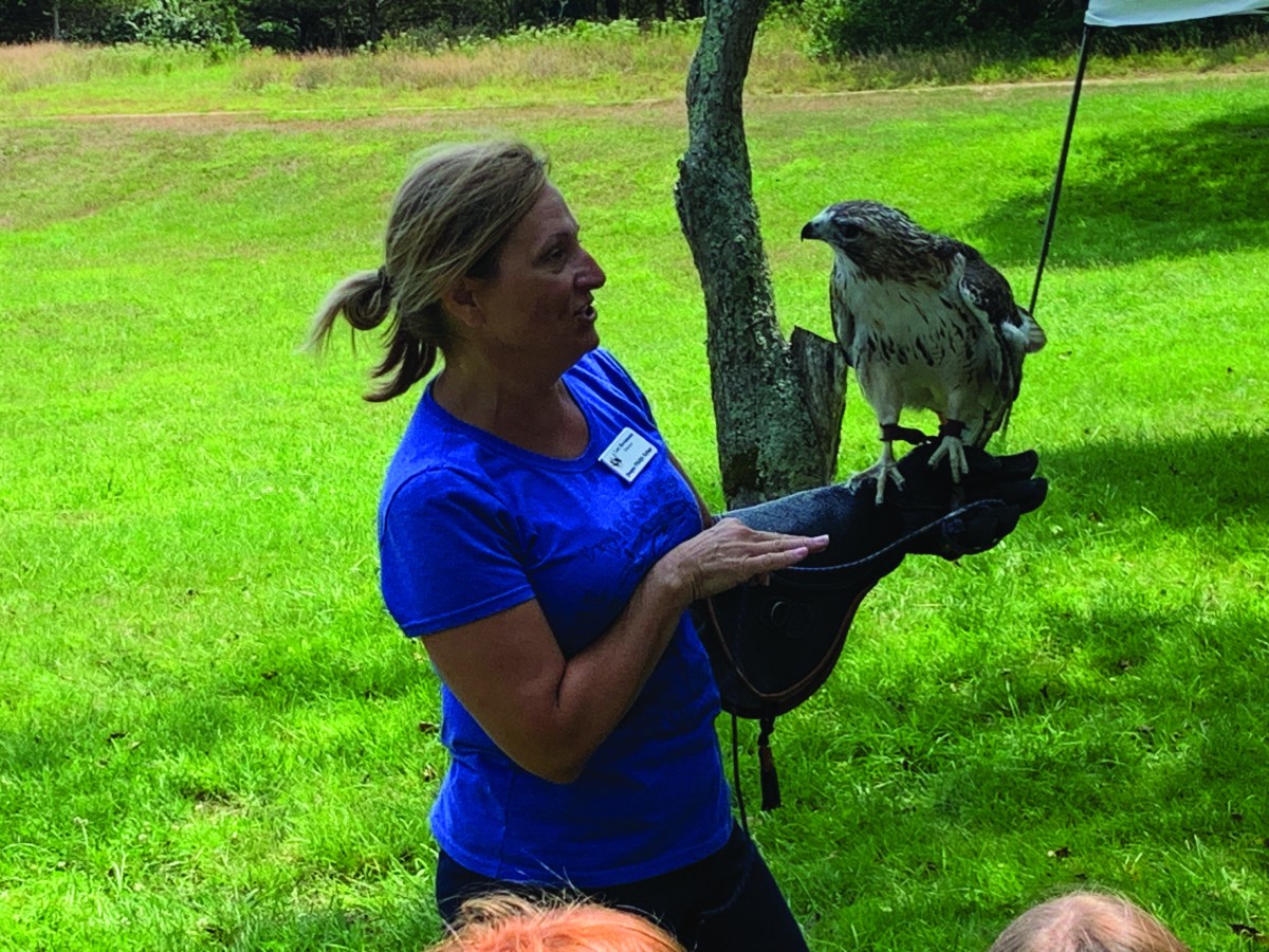 Meet and Greet with Birds of Prey! | To Do Long Island