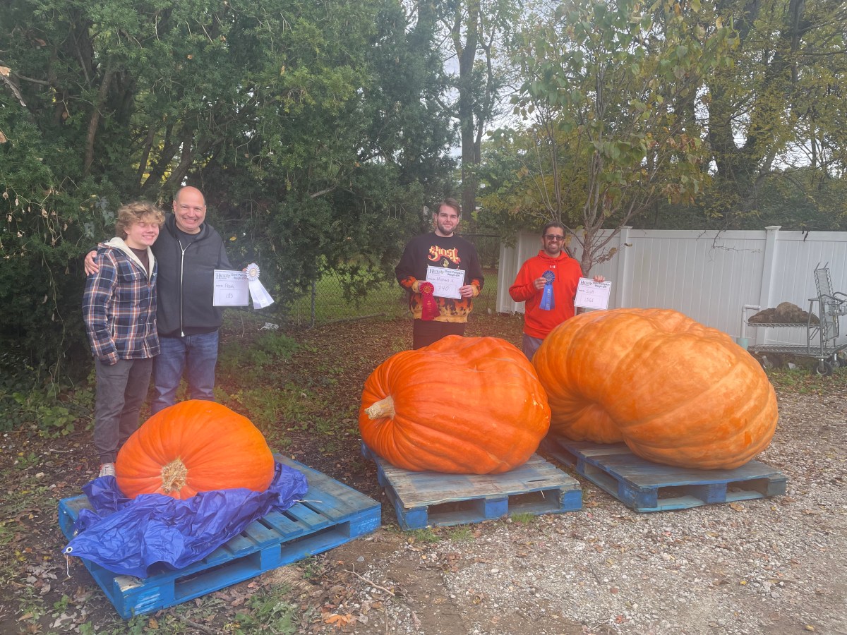 Giant Pumpkin Weigh Off at Hicks Nurseries | To Do Long Island