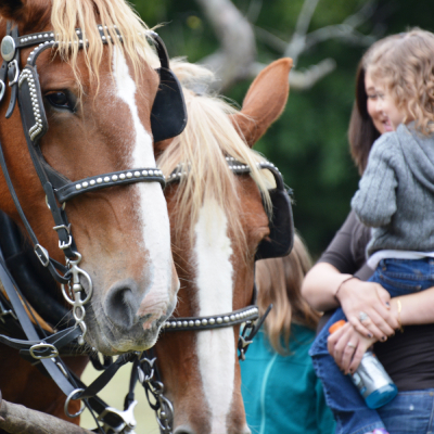 Annual Heritage Harvest & Horse Festival | To Do Bronx