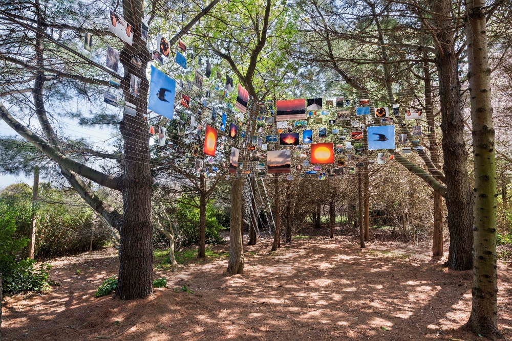 Sculpture in the Garden: Sarah Sze at Landcraft Gardens | To Do Long Island